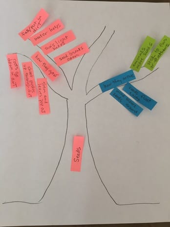 Background Knowledge is Essential for Comprehension - Literacy How