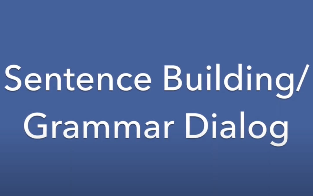 Sentence Building & Grammar Dialog - Literacy How